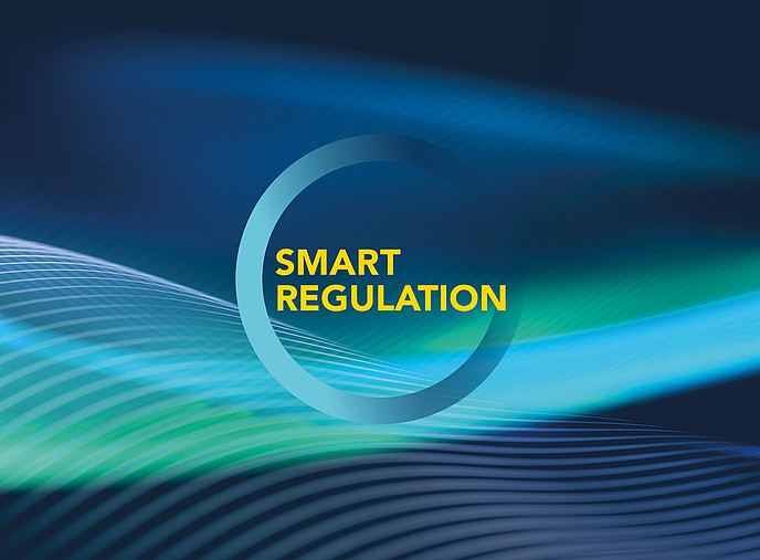 Smart Regulation