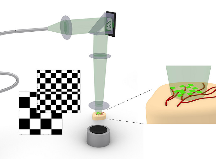Research Optic of Nano and Quantum Materials - OpNaQ