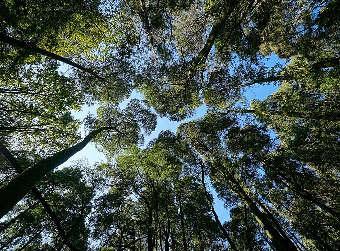 Risks and Adaptations - Climate Change Graz - Climate Change