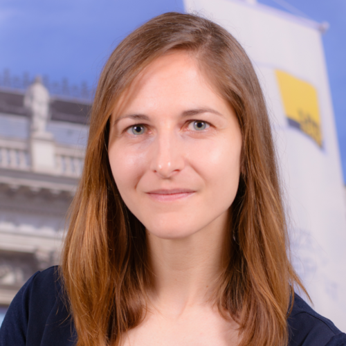 Movement Regulation and Sensory Perception - Brain and Behaviour