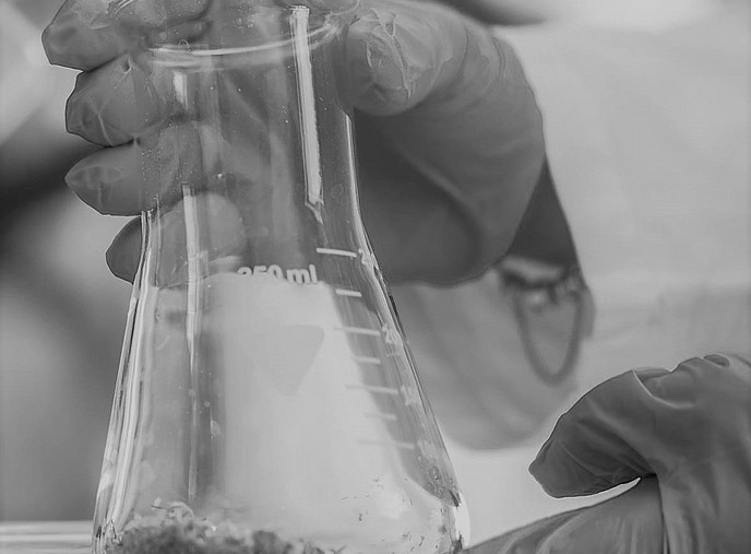 Research at IMB - Institute of Molecular Biosciences