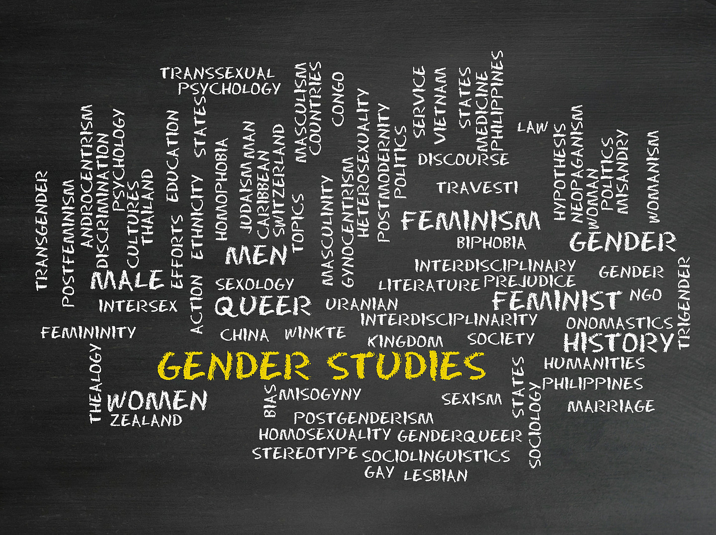 Gender Studies - Joint Programmes