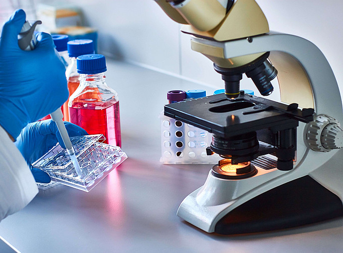 Research at NAWI Graz - unlimited and diverse! - Natural sciences