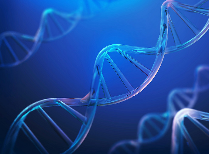 Research at NAWI Graz - unlimited and diverse! - Natural sciences