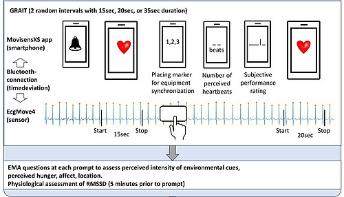 Cardiac interoception and body awareness - Health Psychology