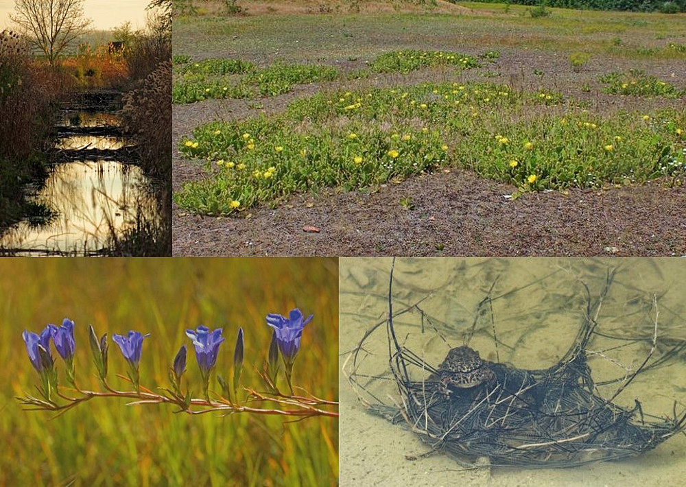 - University of Graz